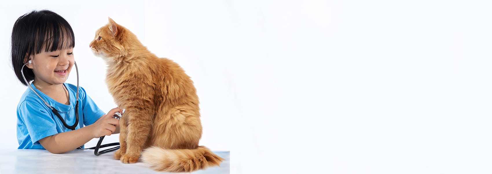 get a clean bill of financial health a financial wellness review is just what the doctor ordered ...